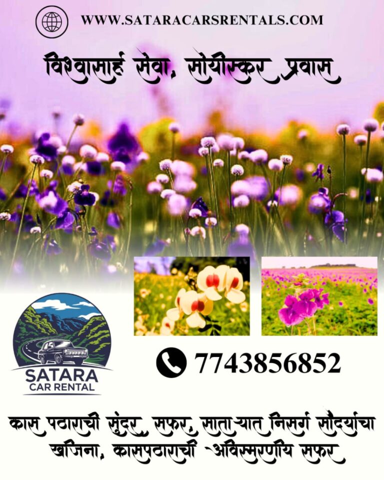 Kaas Plateau (Kas Pathar) Complete Travel Guide to Maharashtra’s Flower ...